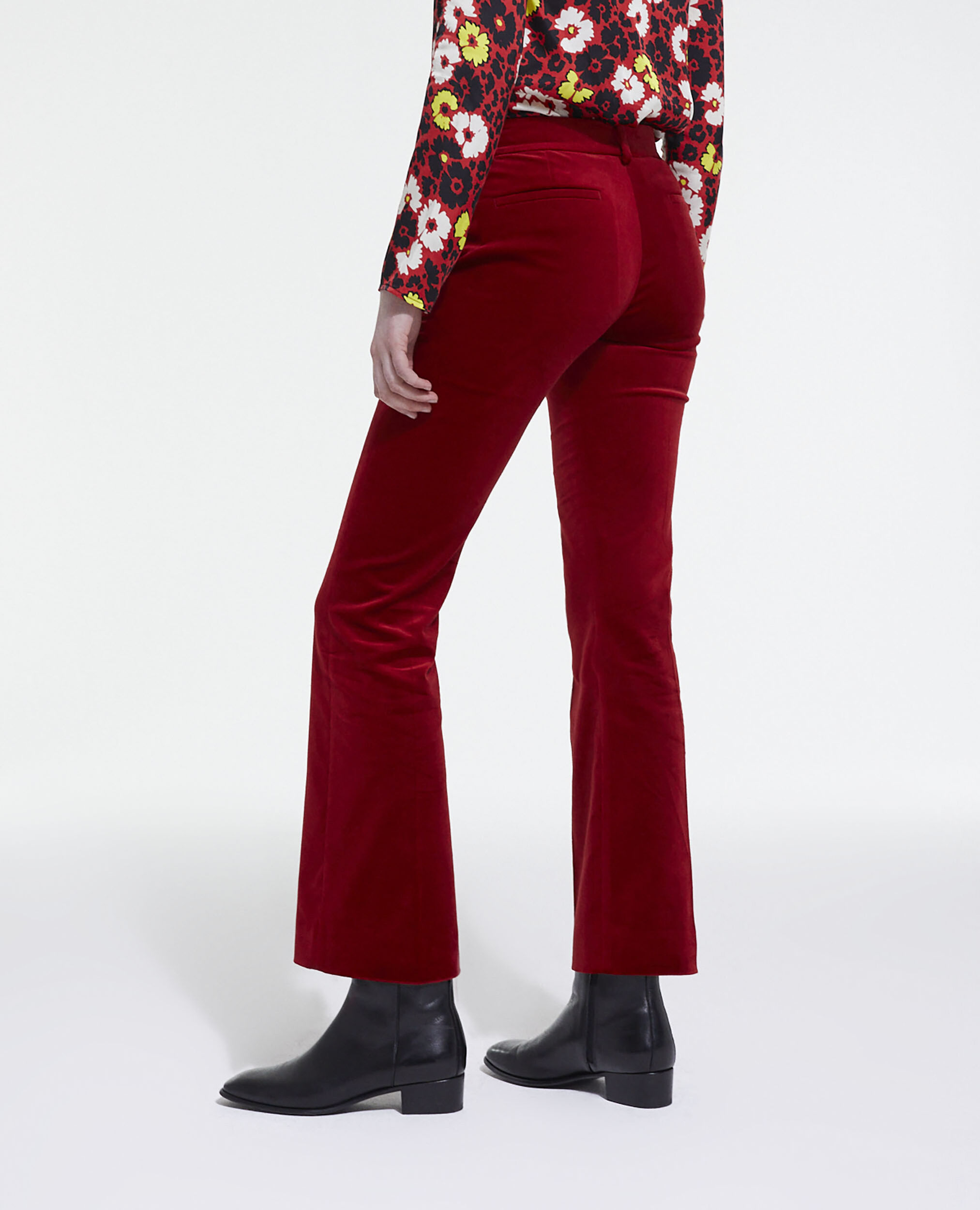 Pantalon de costume flare velours rouge | The Kooples - France