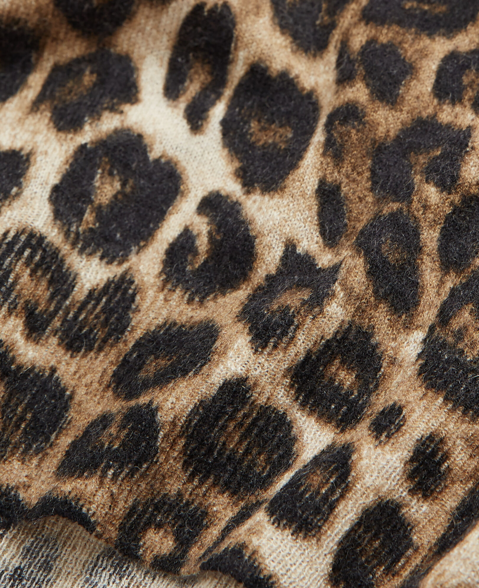 Pull en cachemire léopard | The Kooples - France